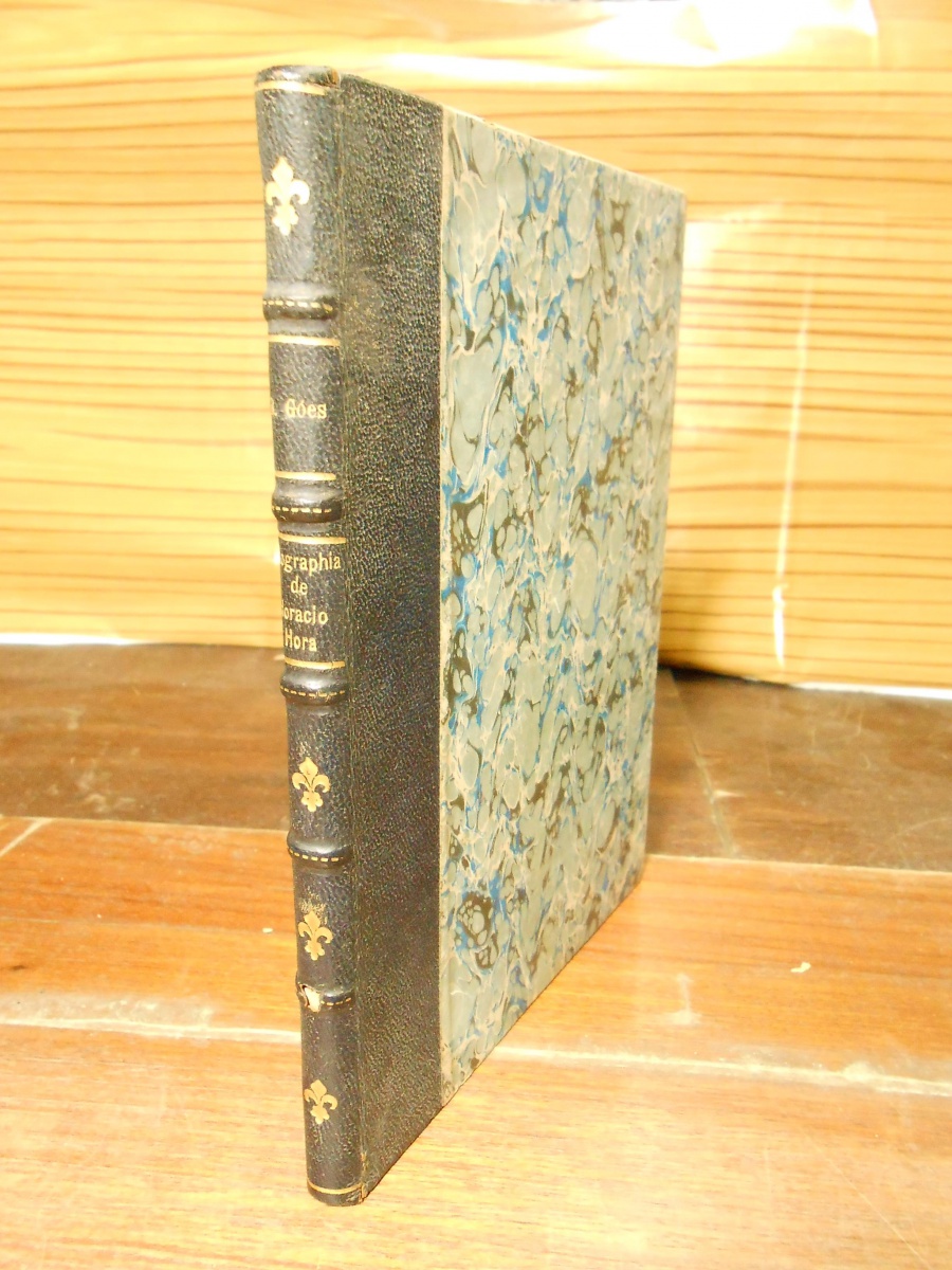 Pintor Sergipano. Biographia de Horacio Hora O Pinctor