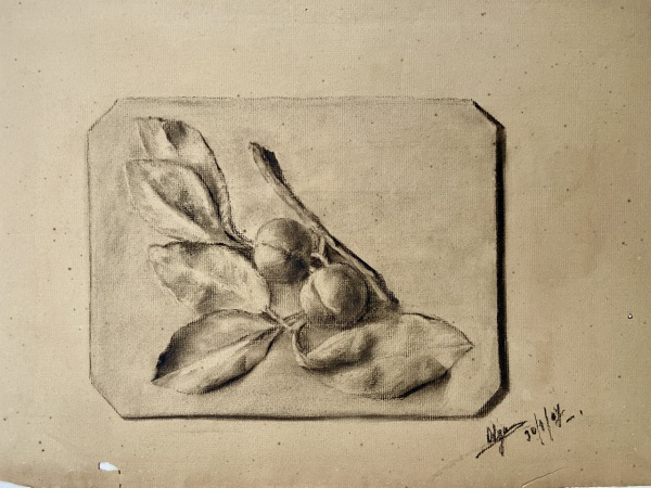 OLGA MARY PEDROZA - CARVÃO SOBRE PAPEL - RAMOS DE PÊSSE