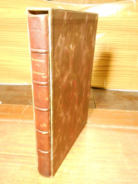 Pintor Sergipano. Biographia de Horacio Hora O Pinctor